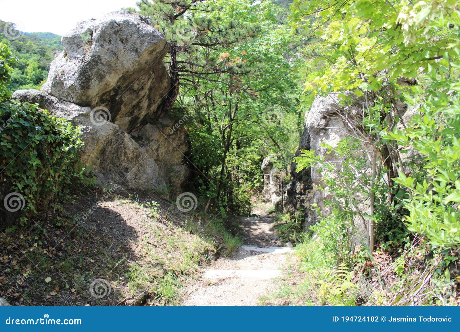 A Path at the Top of the Mountain between Rocks and Trees Stock Photo ...