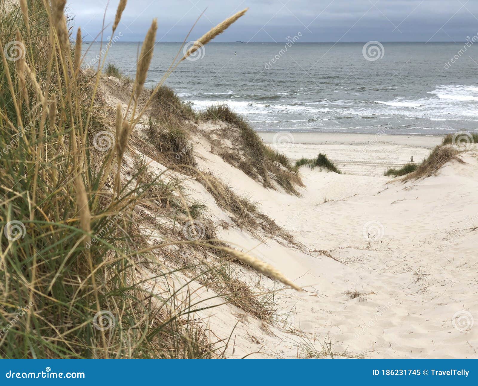 Path Towards the Beach on Vlieland Stock Image - Image of ocean, island ...