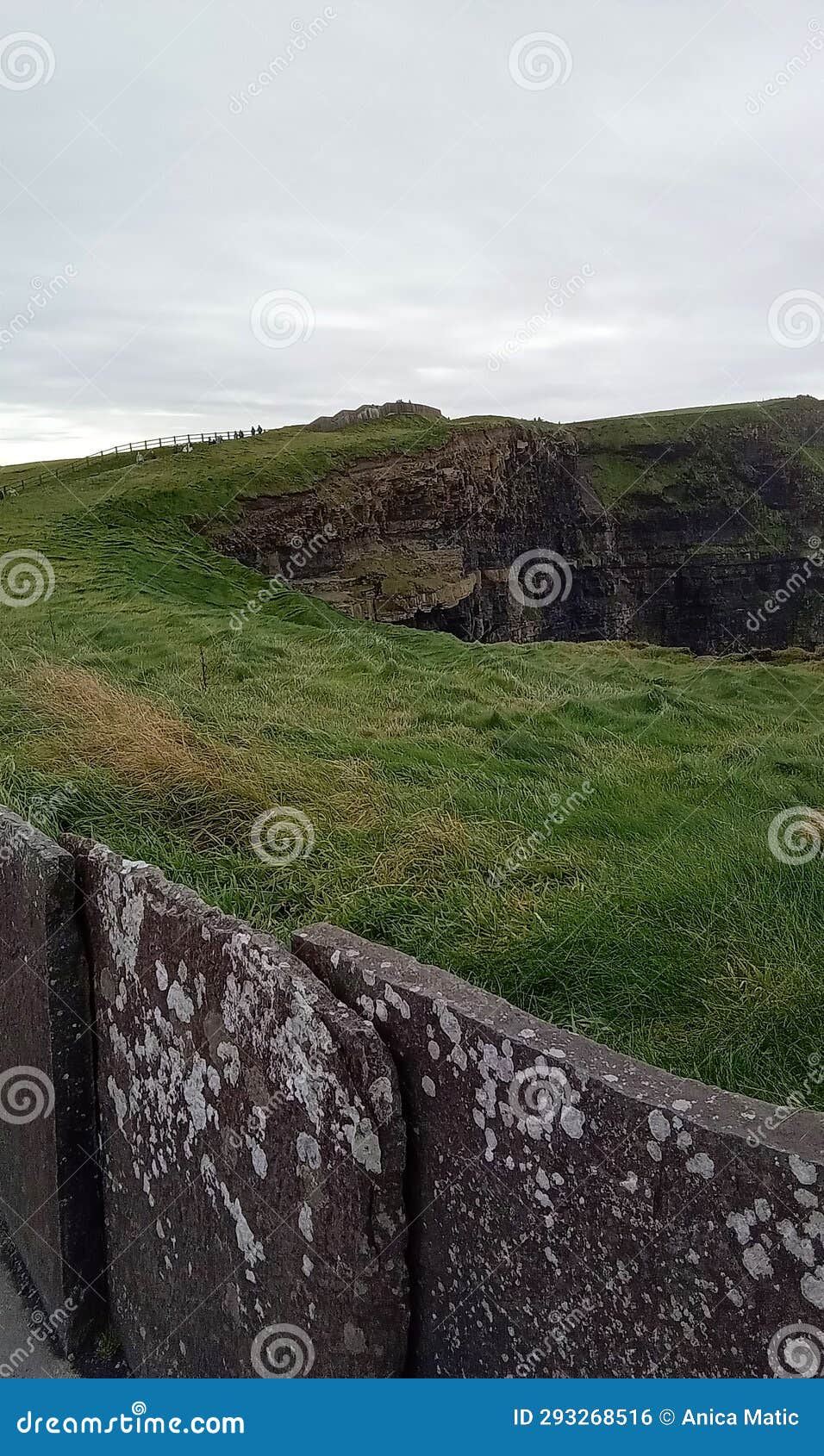 Green Grass on the Cliffs Flattened by Strong Wind Stock Photo - Image ...