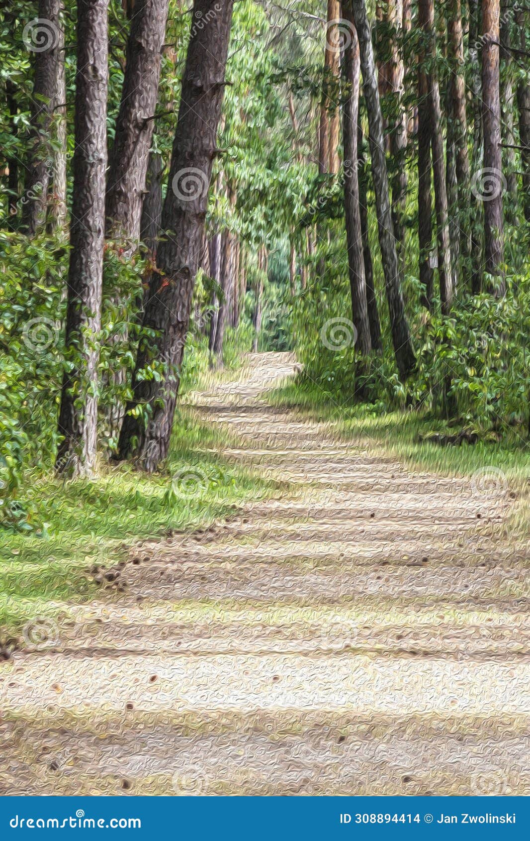 Path Trail through the Pine Tree Young Forrest Stock Photo - Image of ...