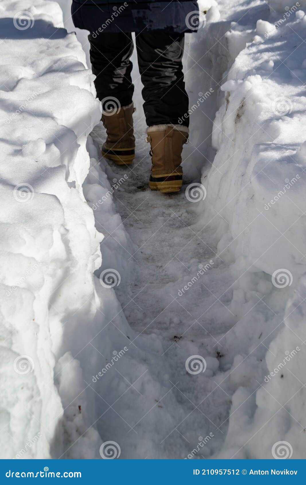 The Path is Trampled in Deep Snow Stock Photo - Image of light, evening ...