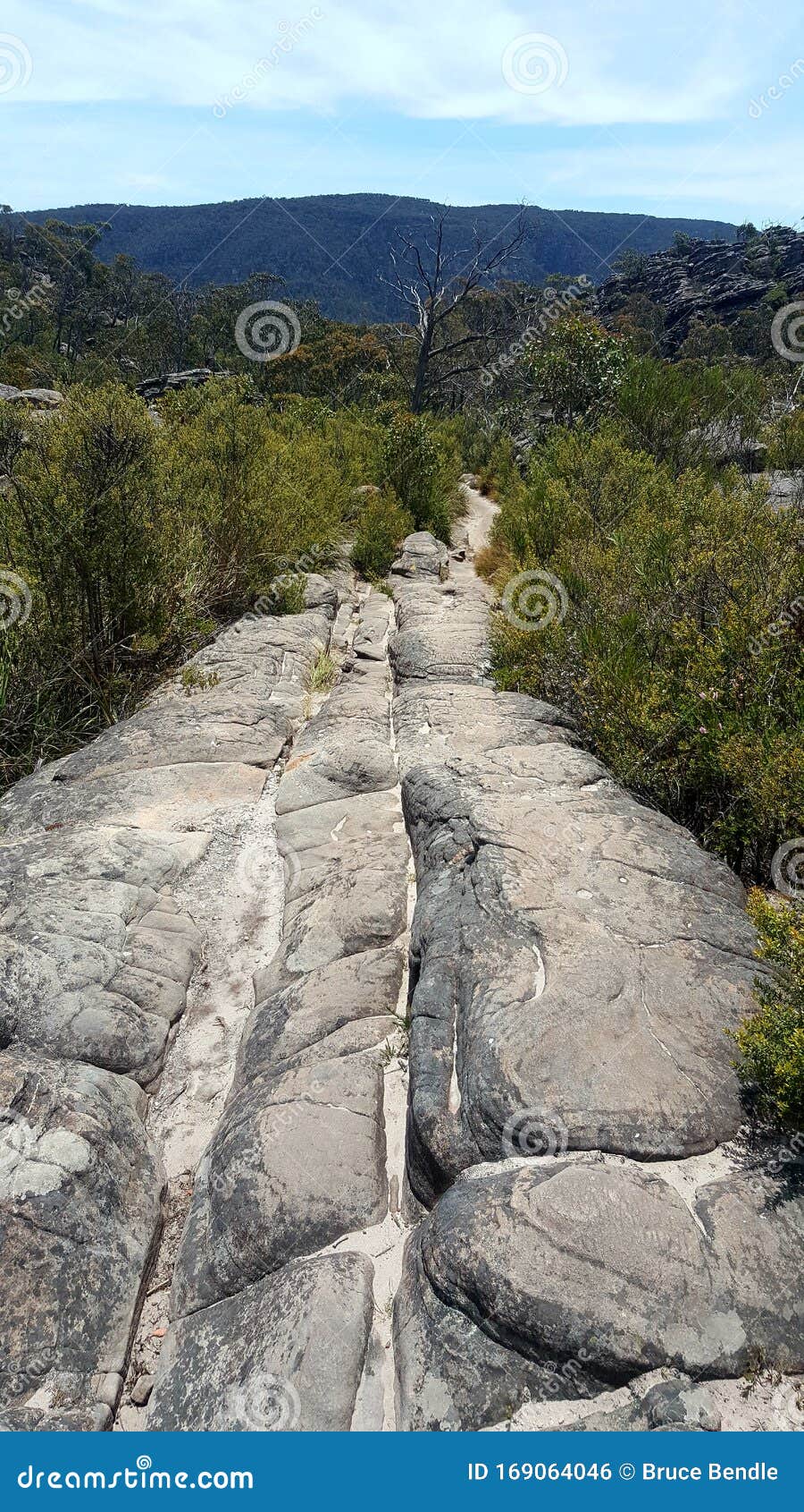 Path less travelled stock photo. Image of travelled - 169064046