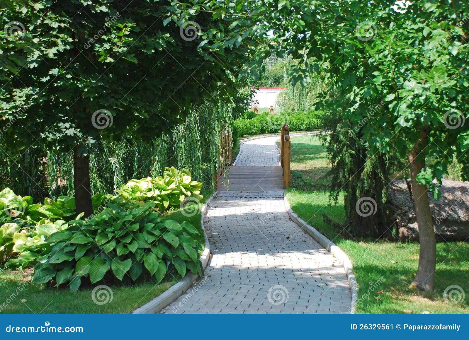 The path through the trees stock image. Image of grass - 26329561