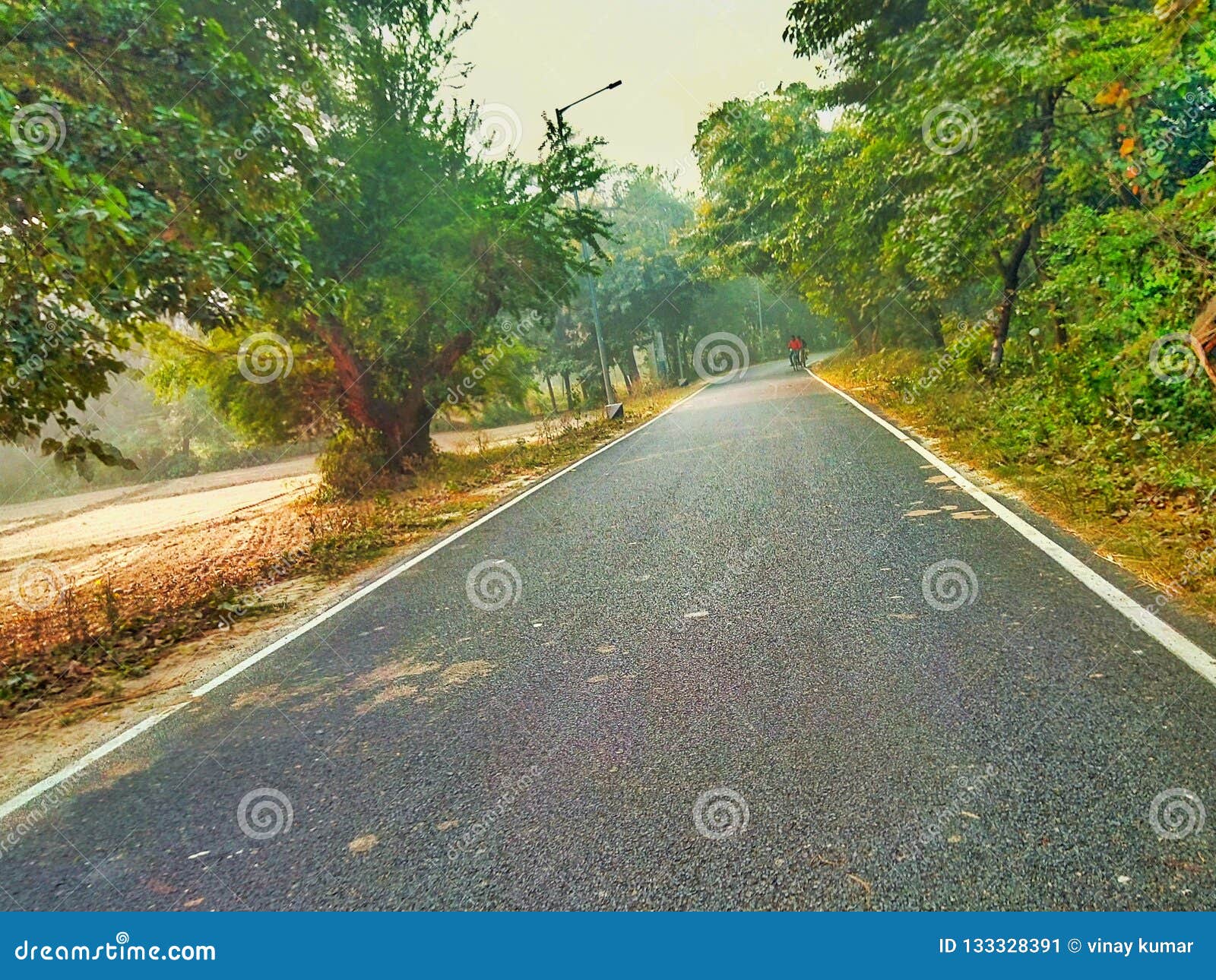 A Path and Trees Along with Both Side of Road Stock Image - Image of ...