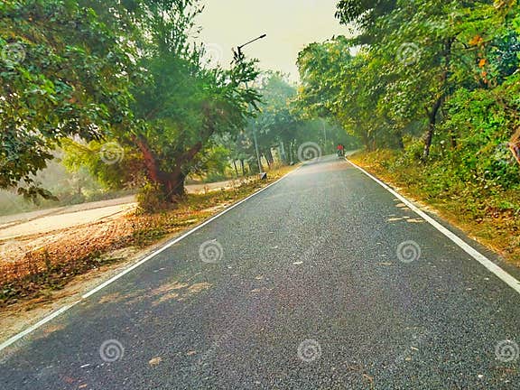 A Path and Trees Along with Both Side of Road Stock Image - Image of ...
