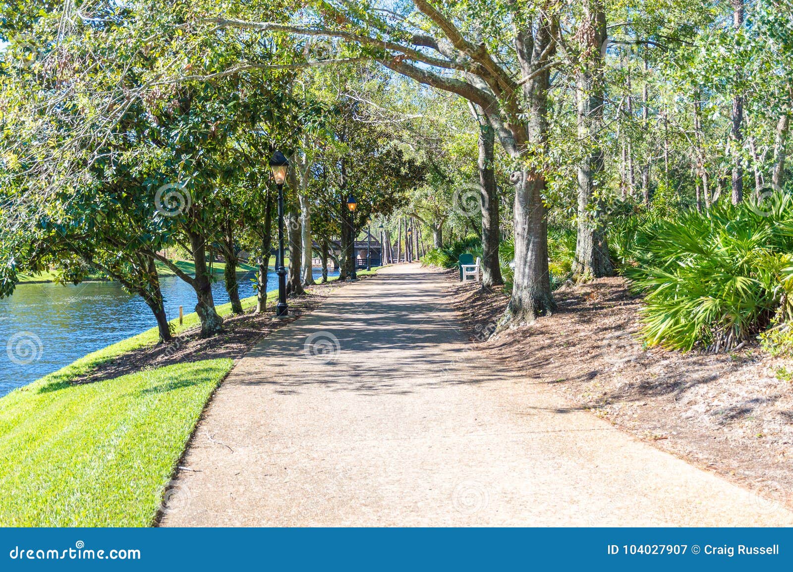 Path through Trees Along River Stock Image - Image of clouds, road ...