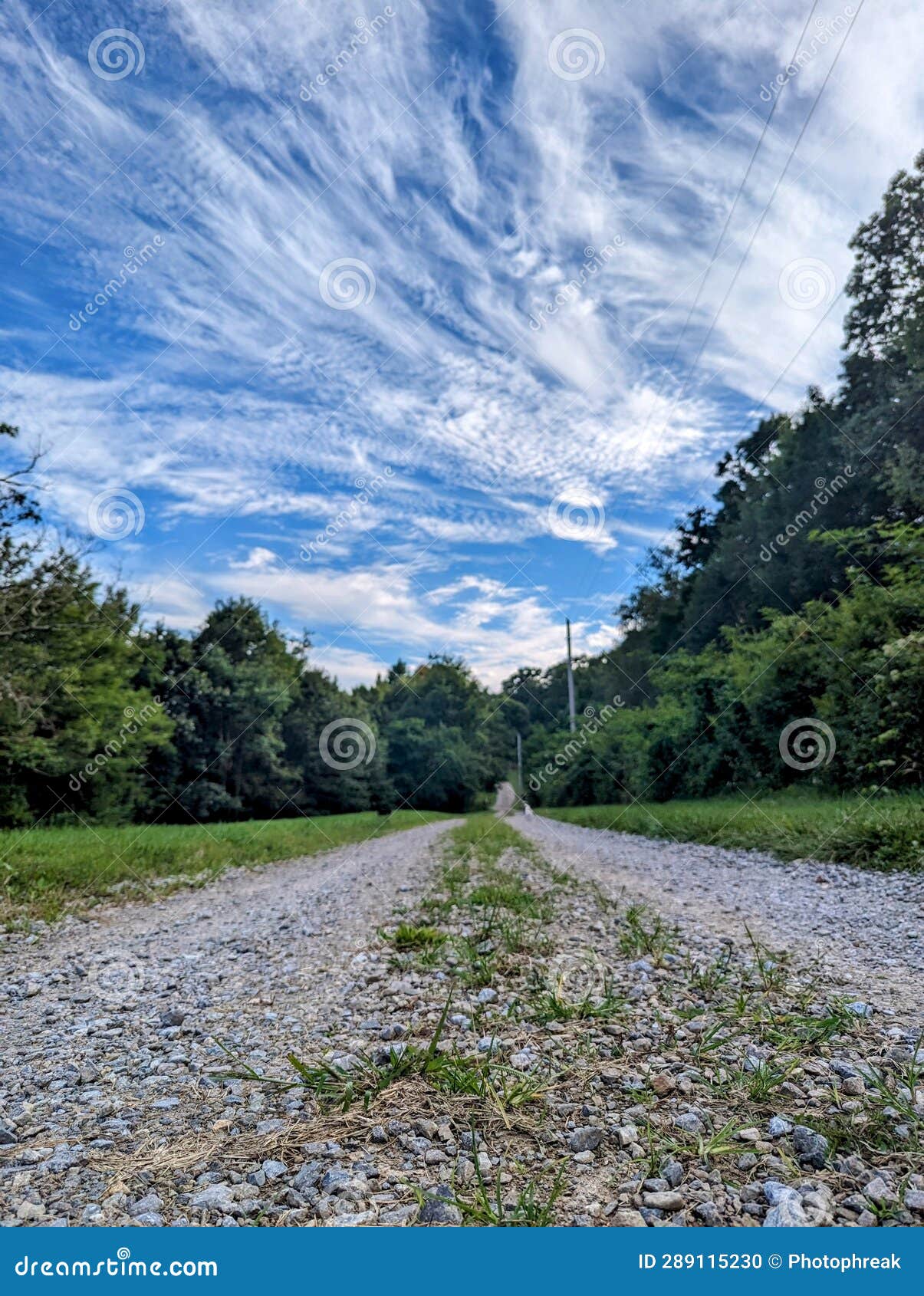 Path with Trees and Blue Sky and Clouds Stock Photo - Image of blue ...