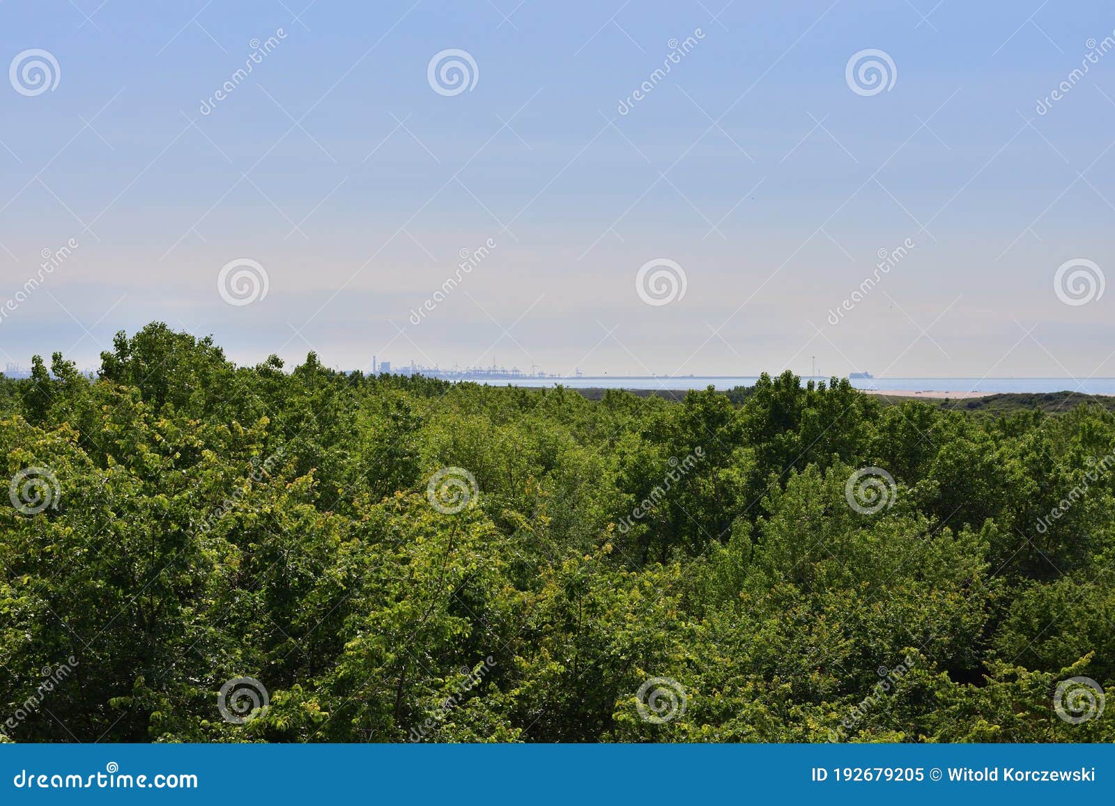 A Path among Trees on the Edge of a Slope on a Hot Summer Day Stock ...