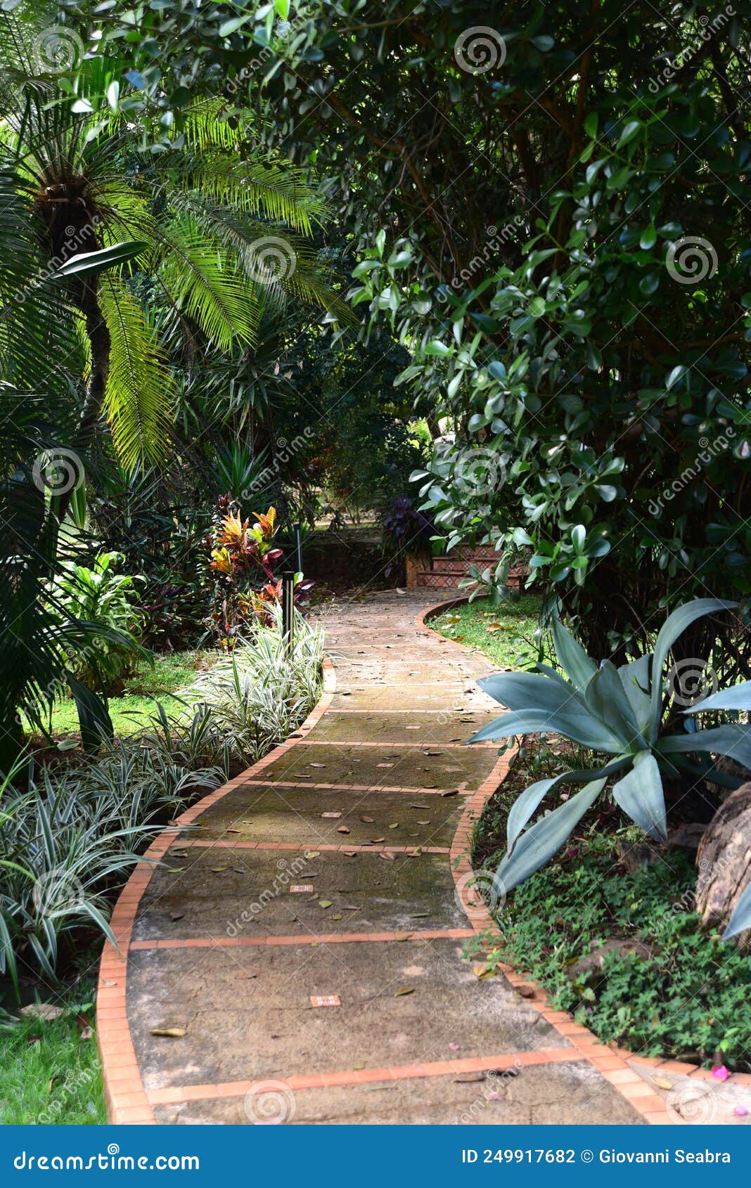 Path between Trees and Gardens, Sidewalk with Nature Around Stock Photo ...