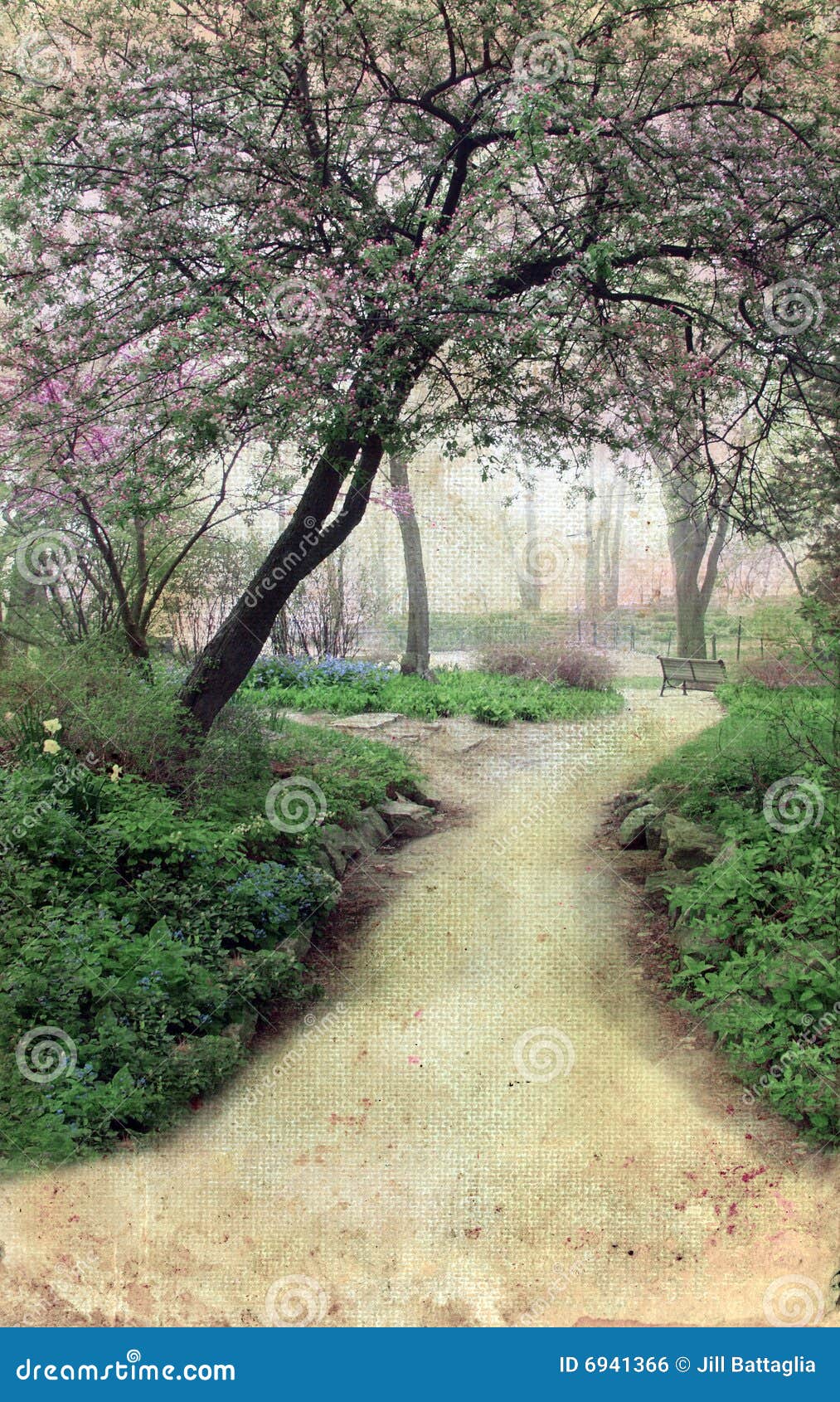 Path through Trees on Grunge Background Stock Photo - Image of ...
