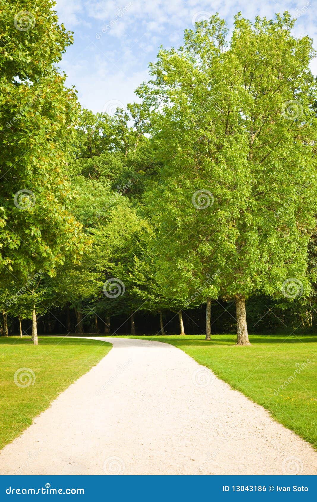 Path between Trees and Meadows Stock Photo - Image of cheverny ...