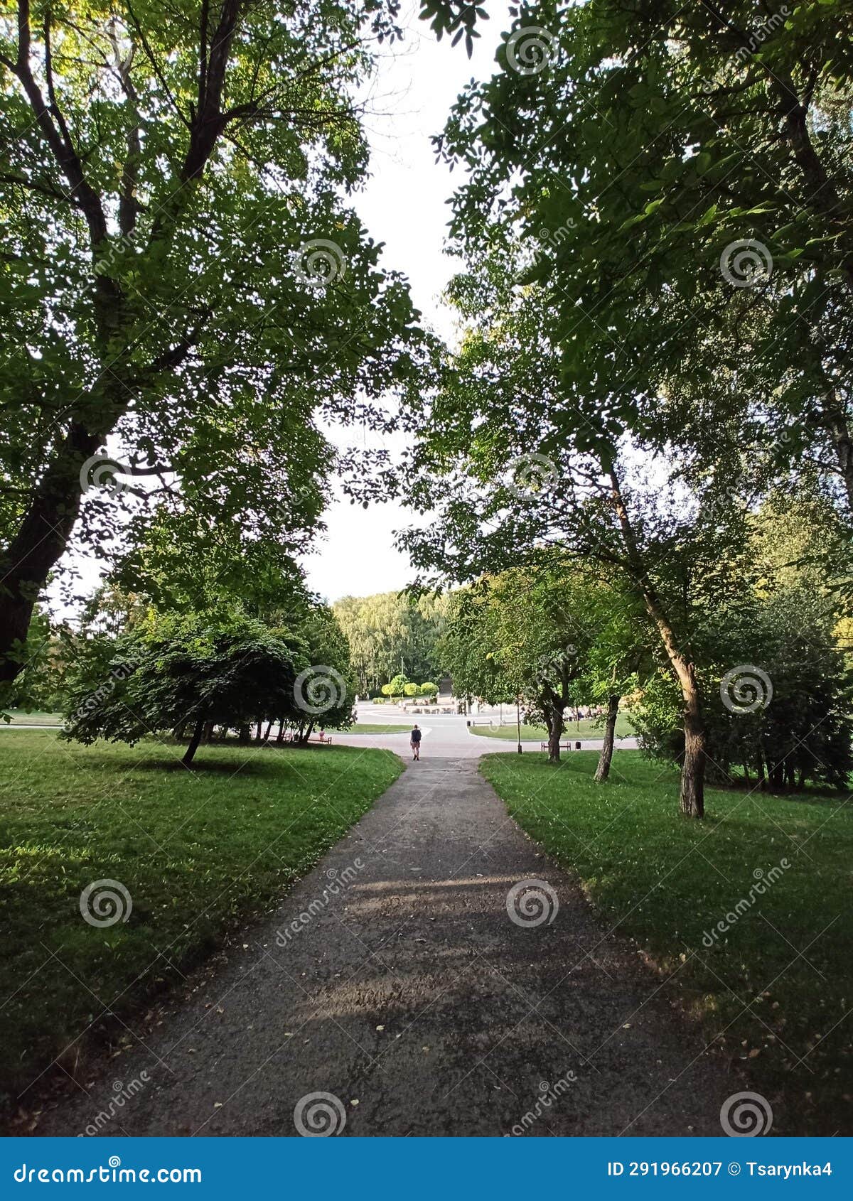A Path with Trees, Nature, a Walk through the Park Stock Image - Image ...