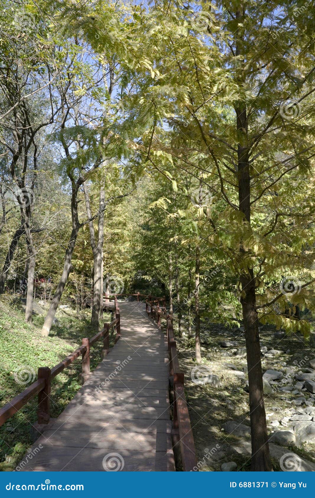 Path through trees in park stock image. Image of pathway - 6881371