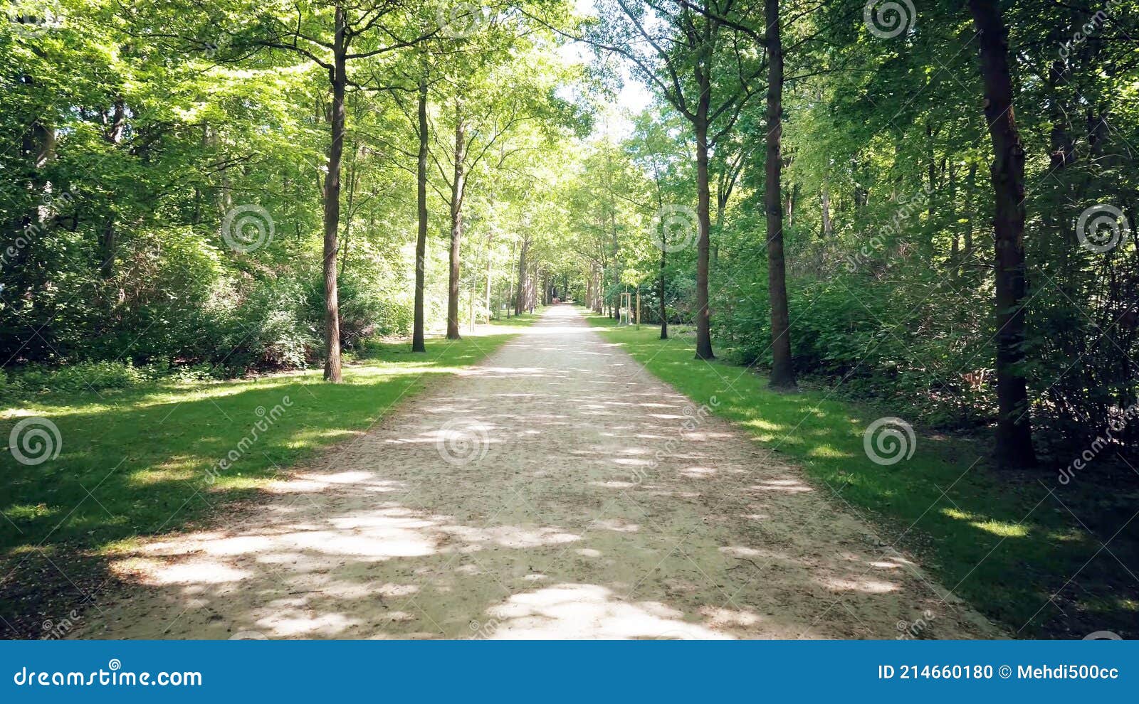 Path between Trees in the Park Stock Photo - Image of garden, season ...