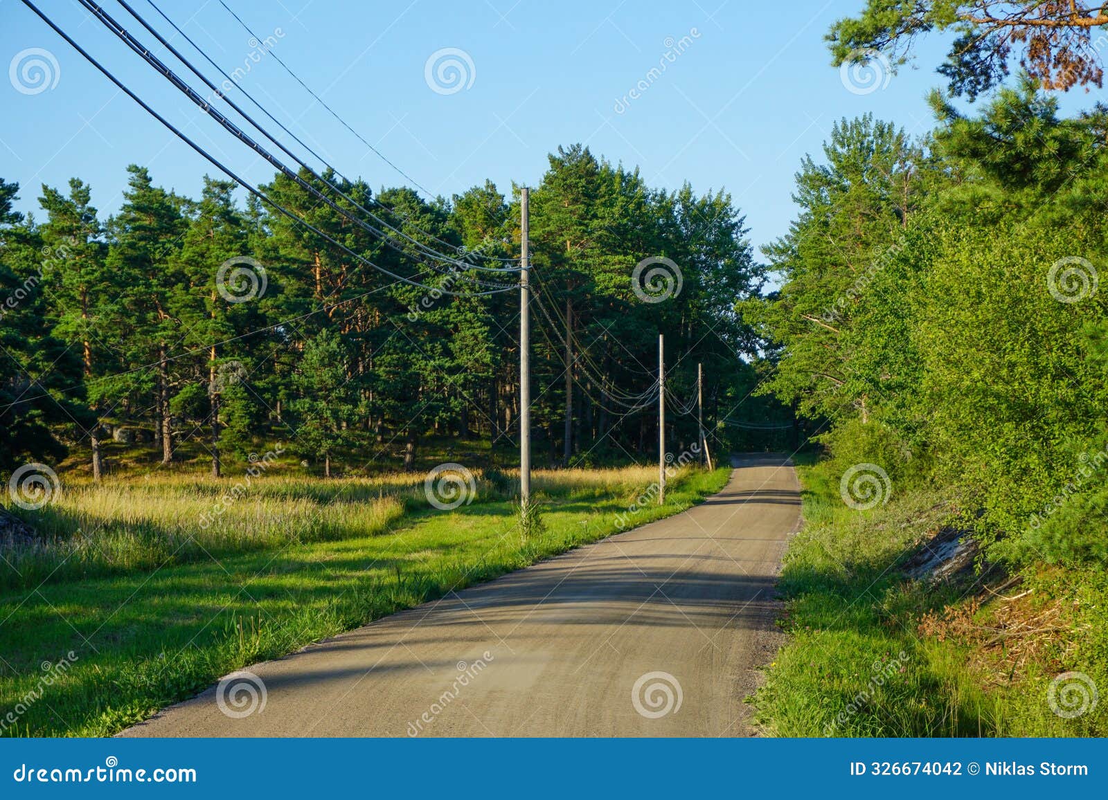 A Path with Trees on the Side of a Road Stock Photo - Image of green ...