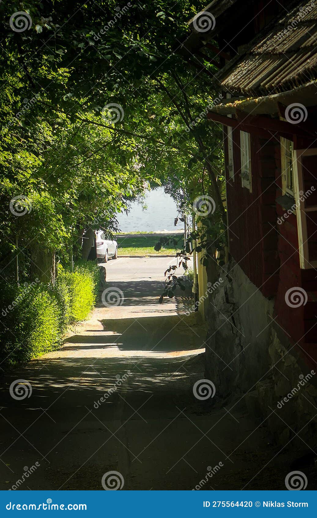 A Path with Trees on the Side of the Street Stock Photo - Image of ...
