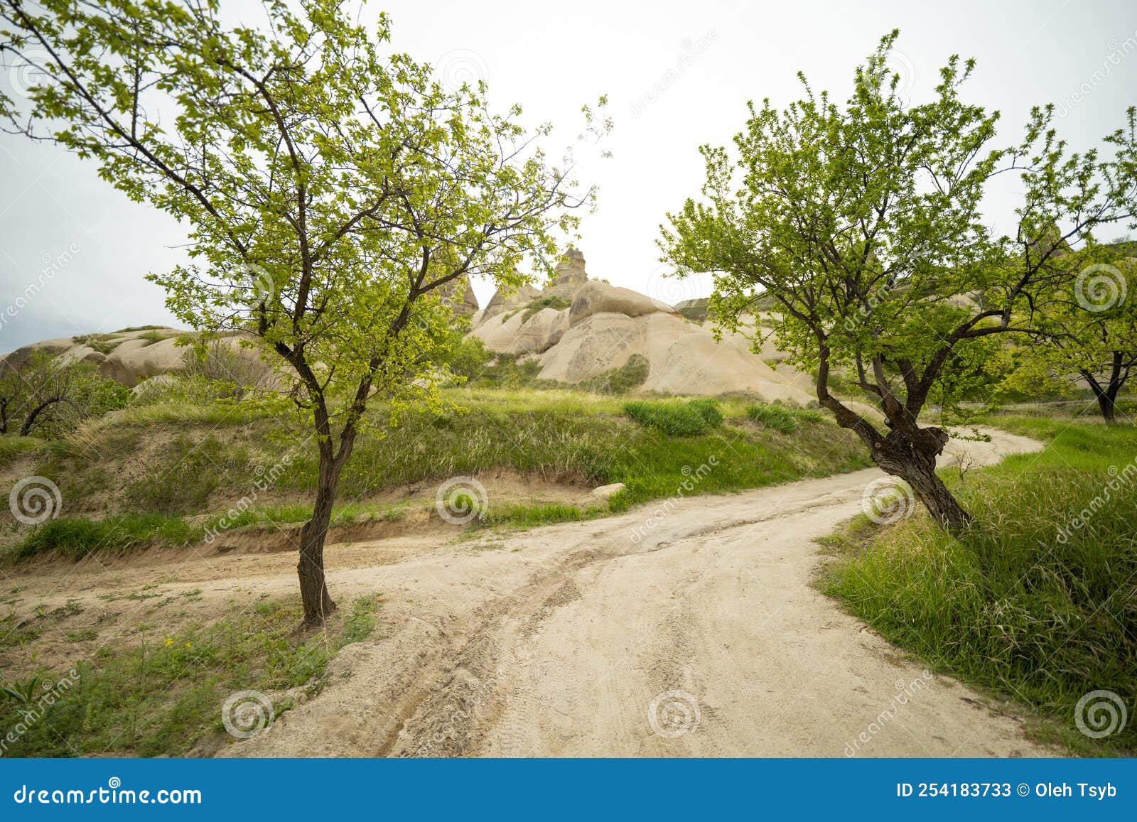 A Path between the Trees To the Stony Hills. Stock Image - Image of ...