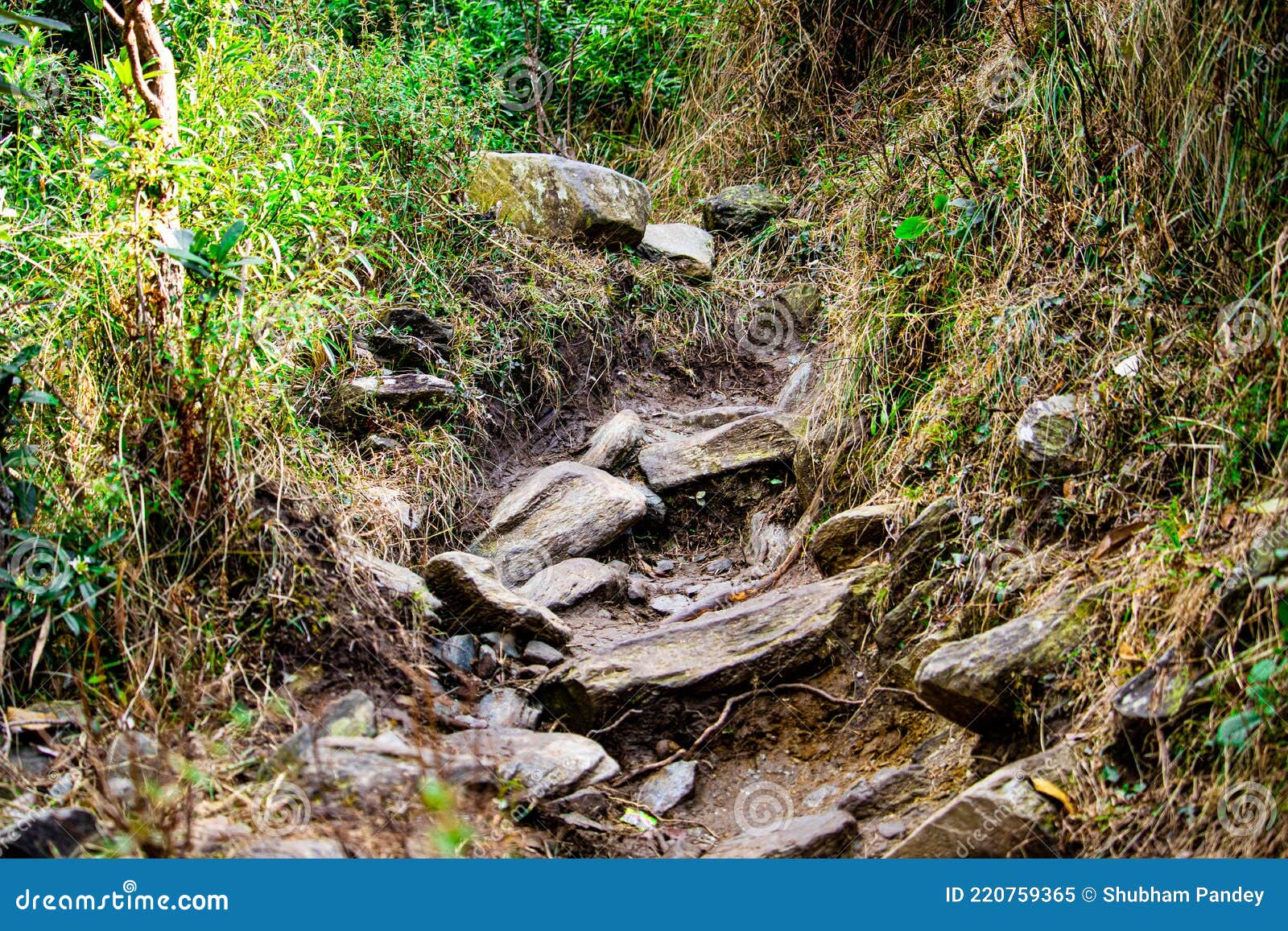 Trek Path To Himalayan Mountain Stock Image - Image of artistic ...