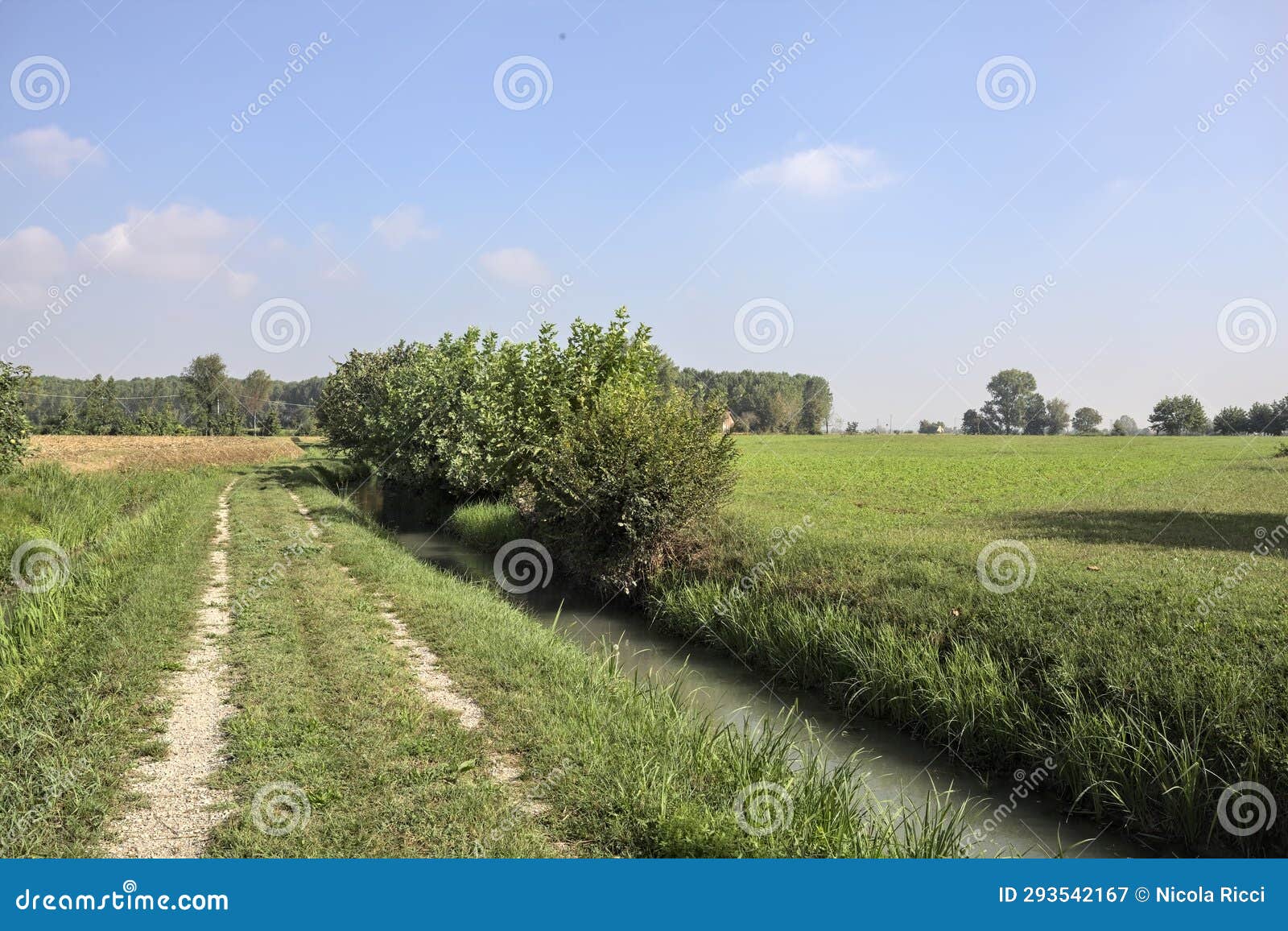 Path between Trenches with Water and a Row of Trees Next To Fields in ...