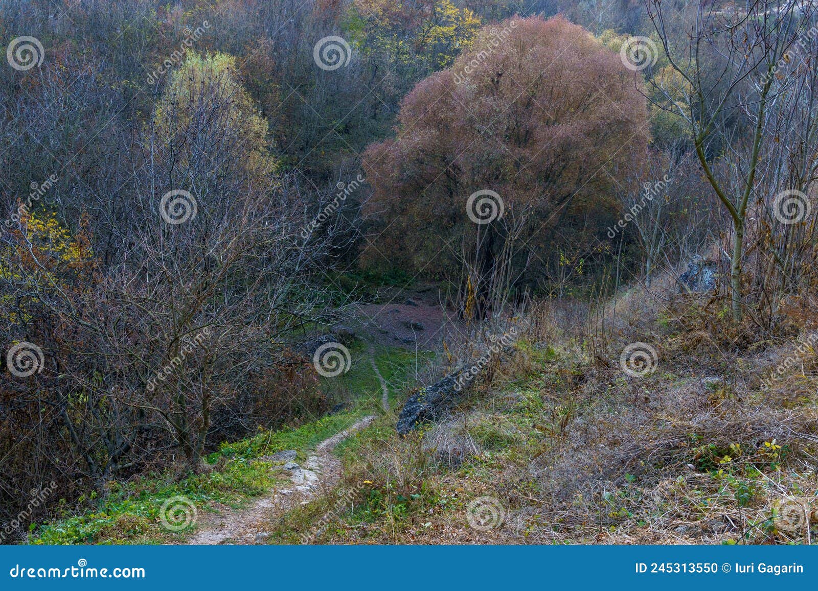 The Path Trodden by People in Nature. Background with Copy Space for ...