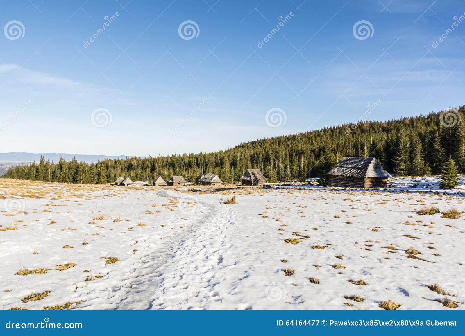 Path Trodden in the Snow by Clearing Stock Image - Image of path, wild ...