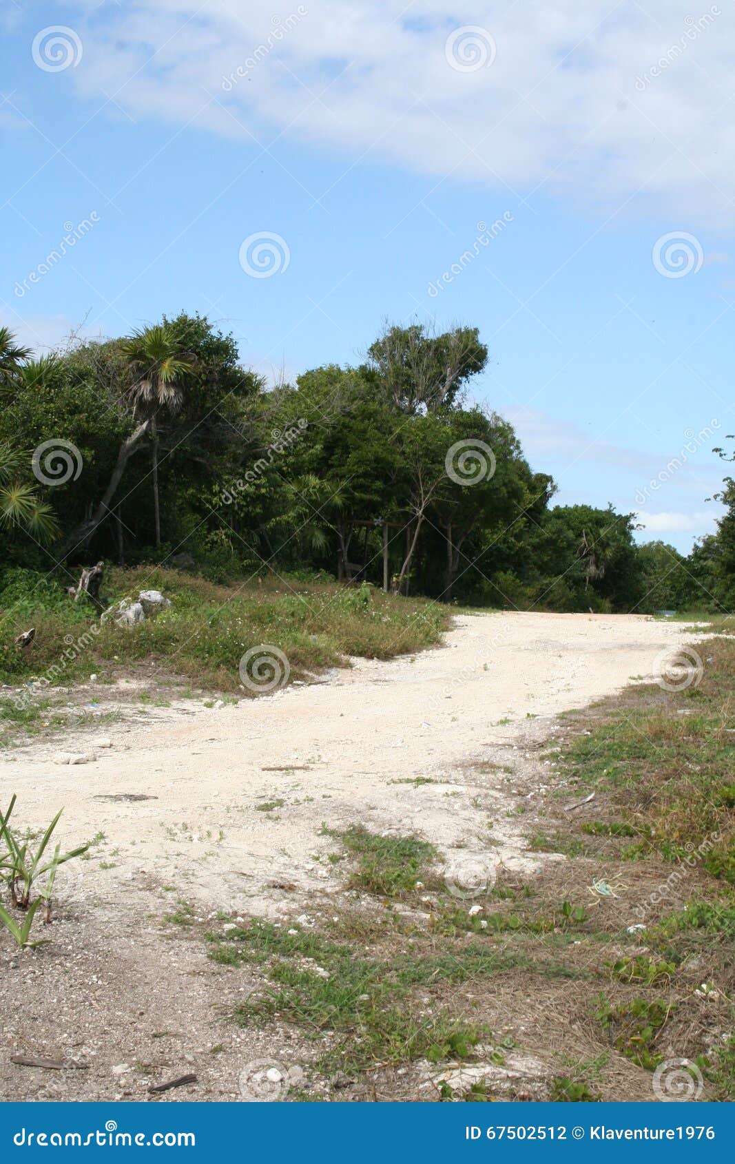 Path in the tropics stock photo. Image of sandy, tropics - 67502512