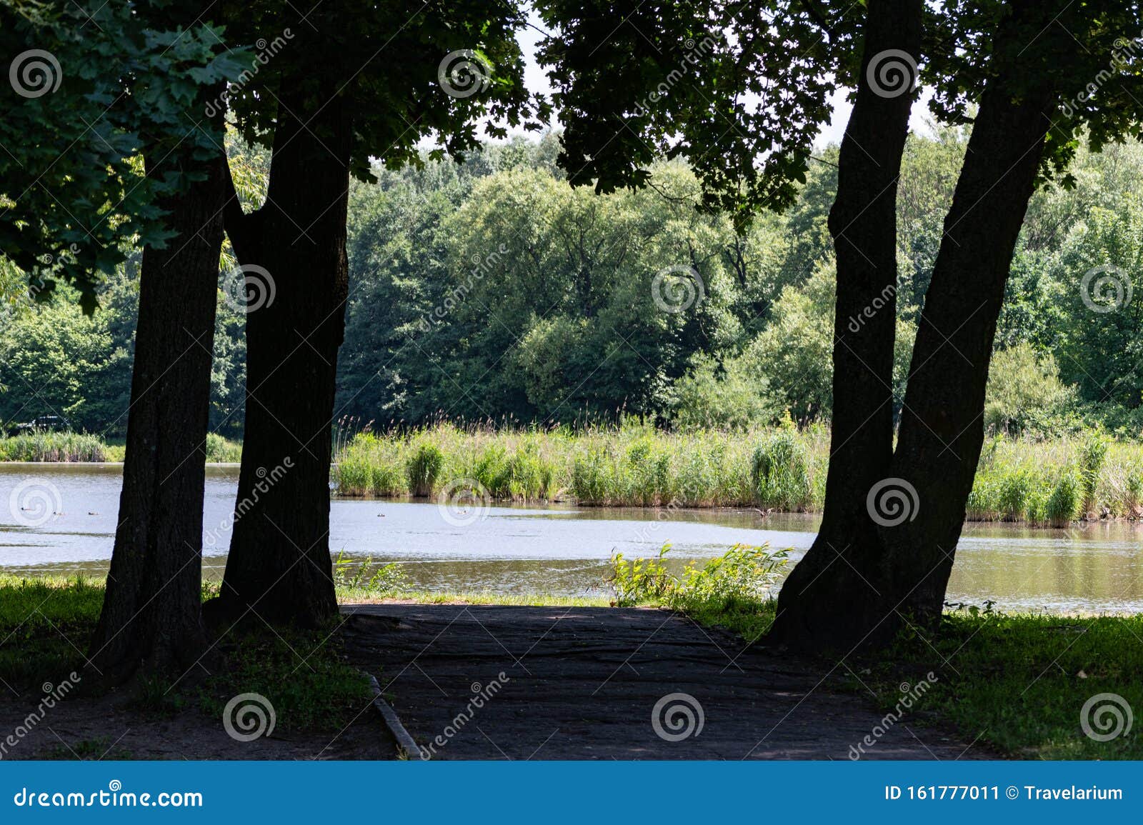 Path between Two Trees in Shadows. Summer Weather Stock Image - Image ...