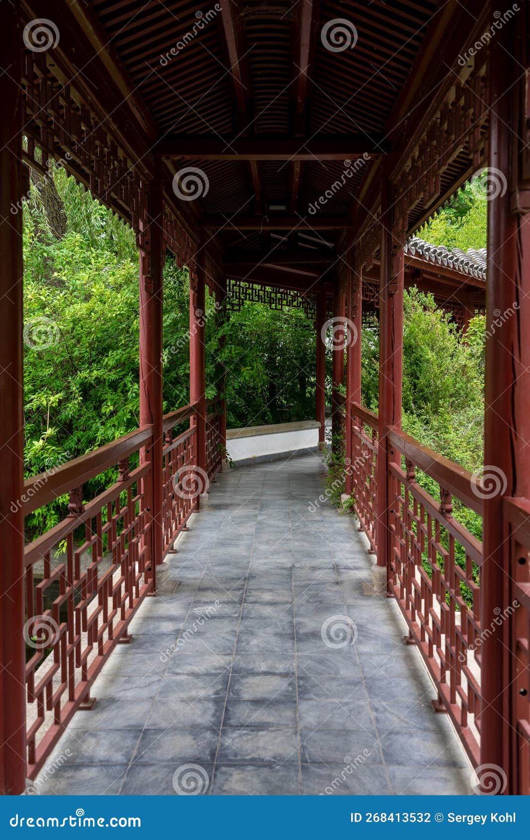 Path under a canopy stock photo. Image of path, canopy - 268413532