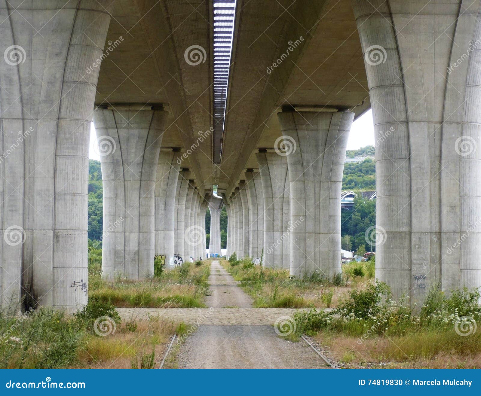 Path Under Cathedral Bridge Stock Photo - Image of pedestrian, modern ...
