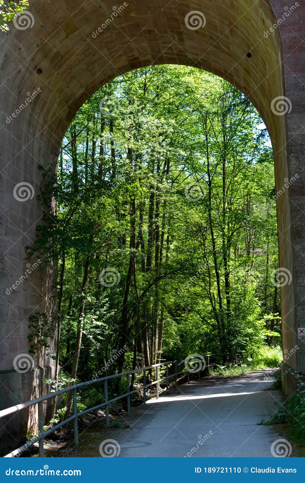 Path Under an Old Bridge in Nature Stock Photo - Image of summer, trees ...