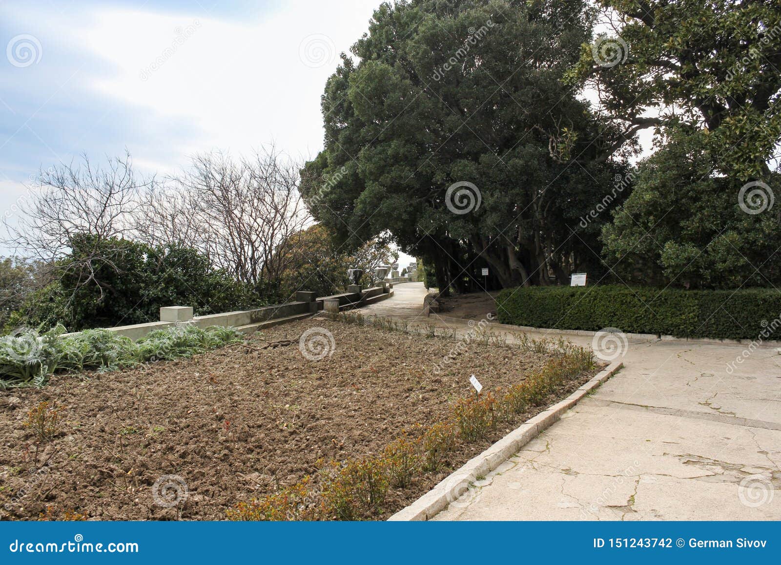 Path under the trees stock photo. Image of stone, beautiful - 151243742