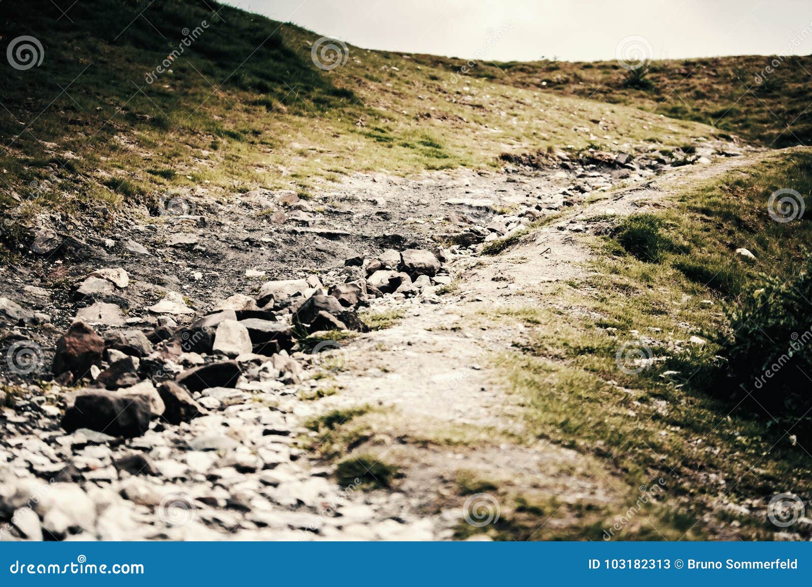 Path up the hill stock image. Image of climb, austria - 103182313