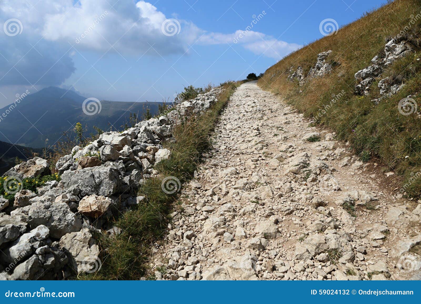 Path up the hill stock photo. Image of forest, hill, arris - 59024132