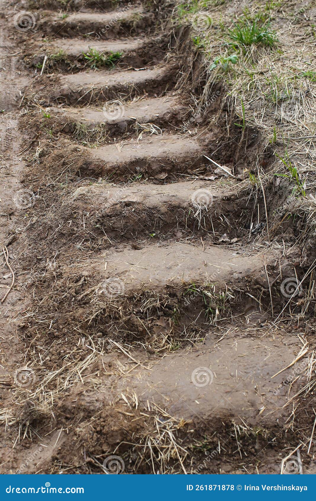 The Path Up the Mountain, Earthen Steps Stock Photo - Image of stairway ...