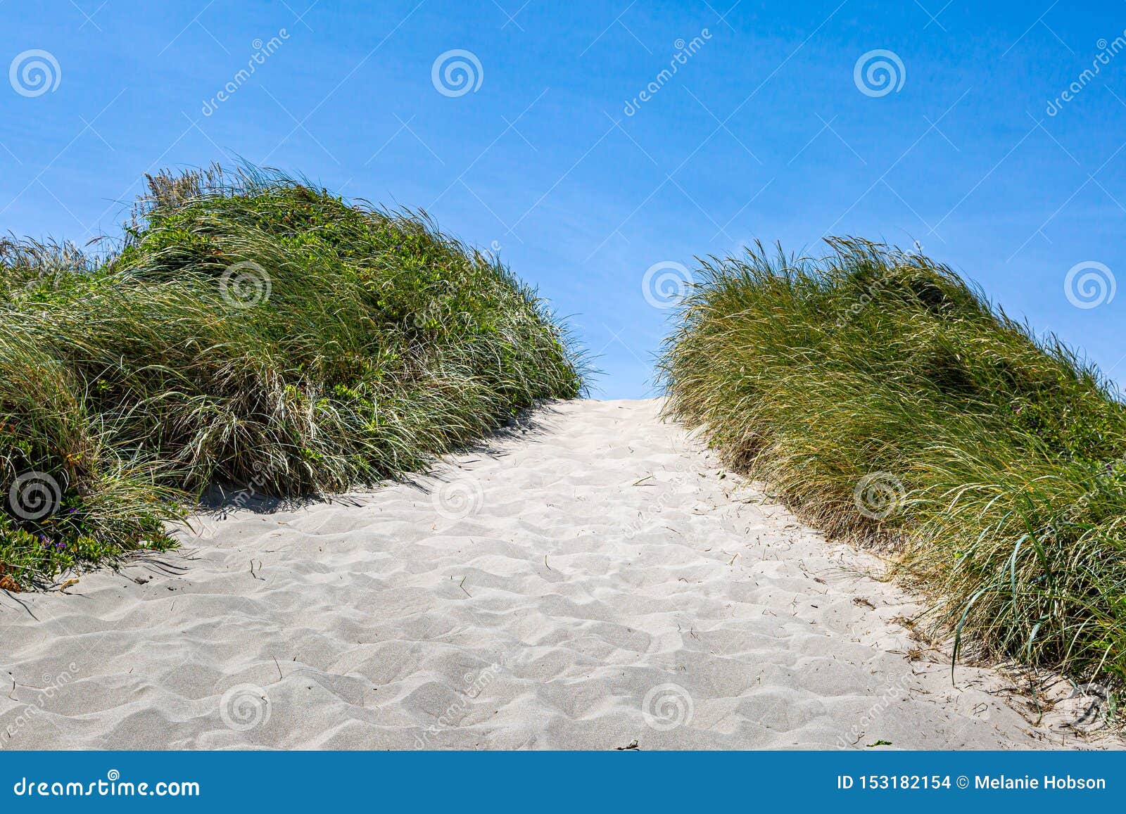 A Path up a Sand Dune stock photo. Image of people, natural - 153182154