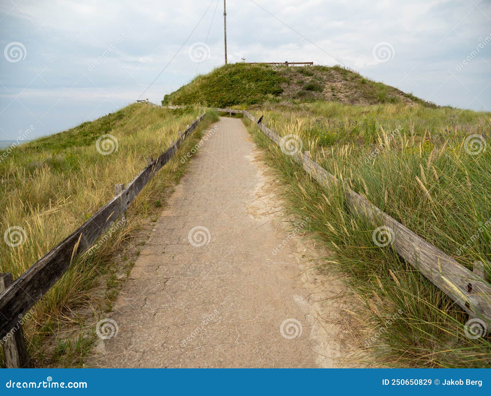 Path uphill. stock image. Image of path, adventure, concept - 250650829