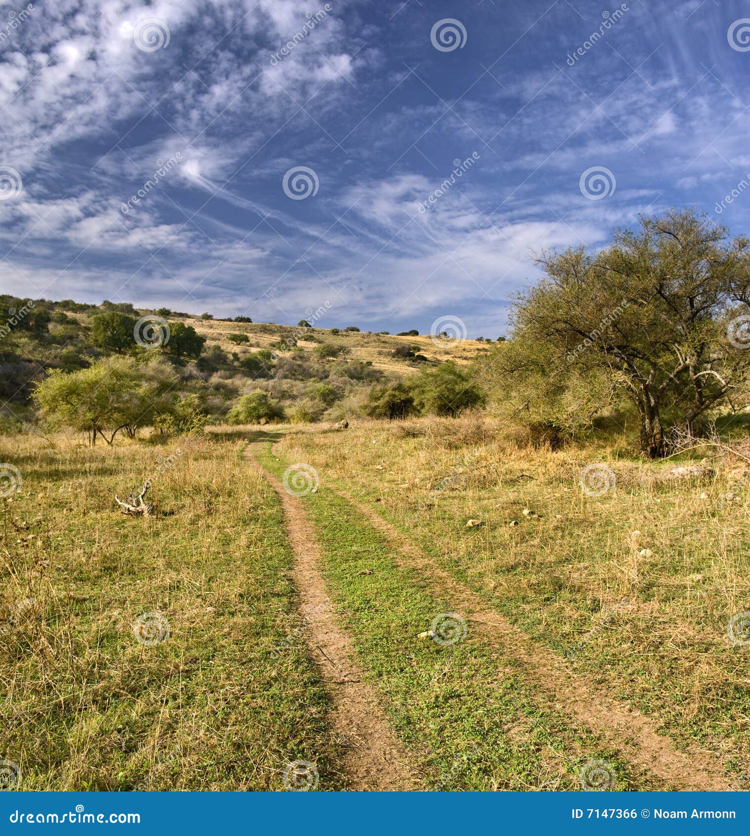 Path in a valley stock photo. Image of concept, hill, grass - 7147366