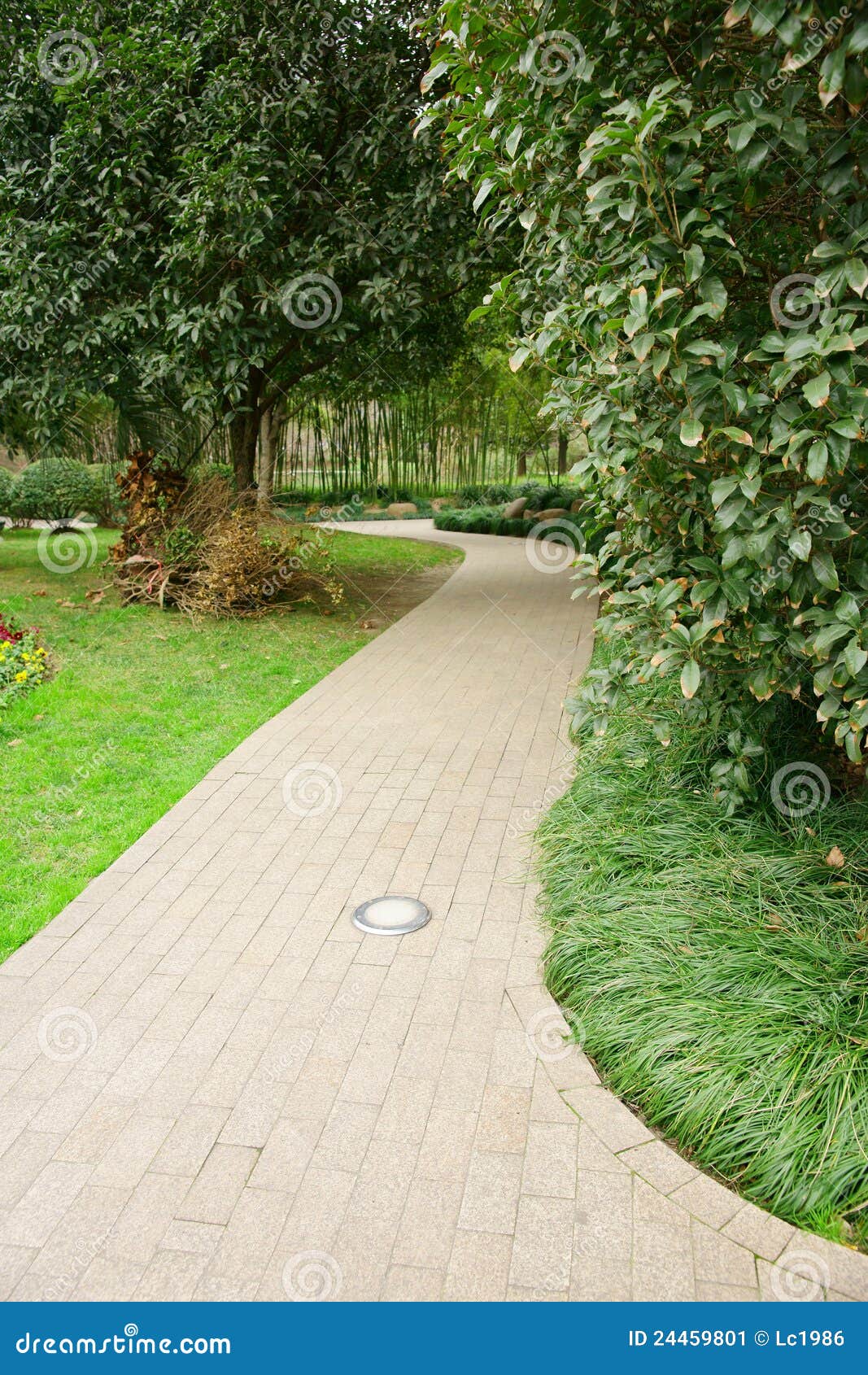 Path in Vertical Composition Stock Image - Image of bright, outdoors ...