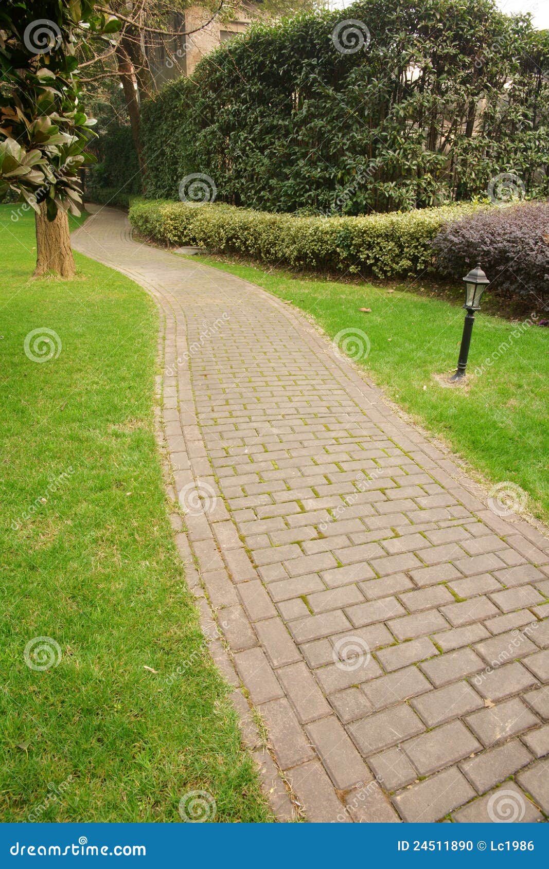 Path in Vertical Composition Stock Photo - Image of path, tree: 24511890