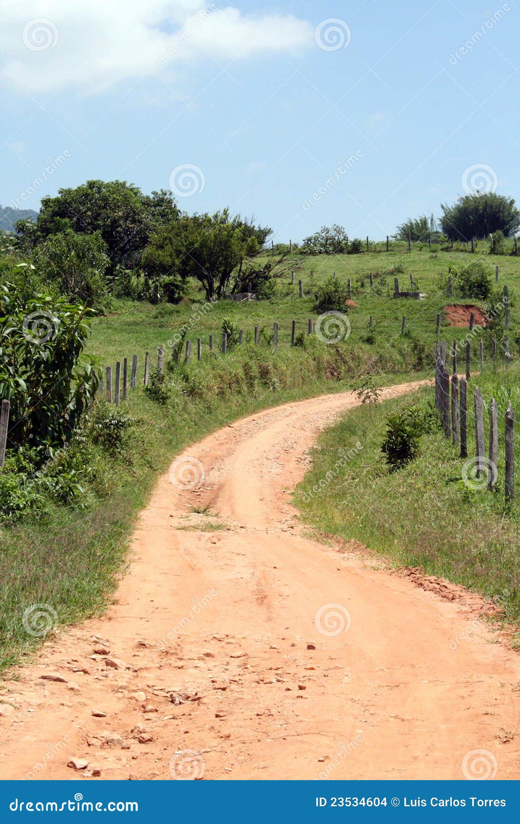 Path view stock photo. Image of farm, farmland, farming - 23534604