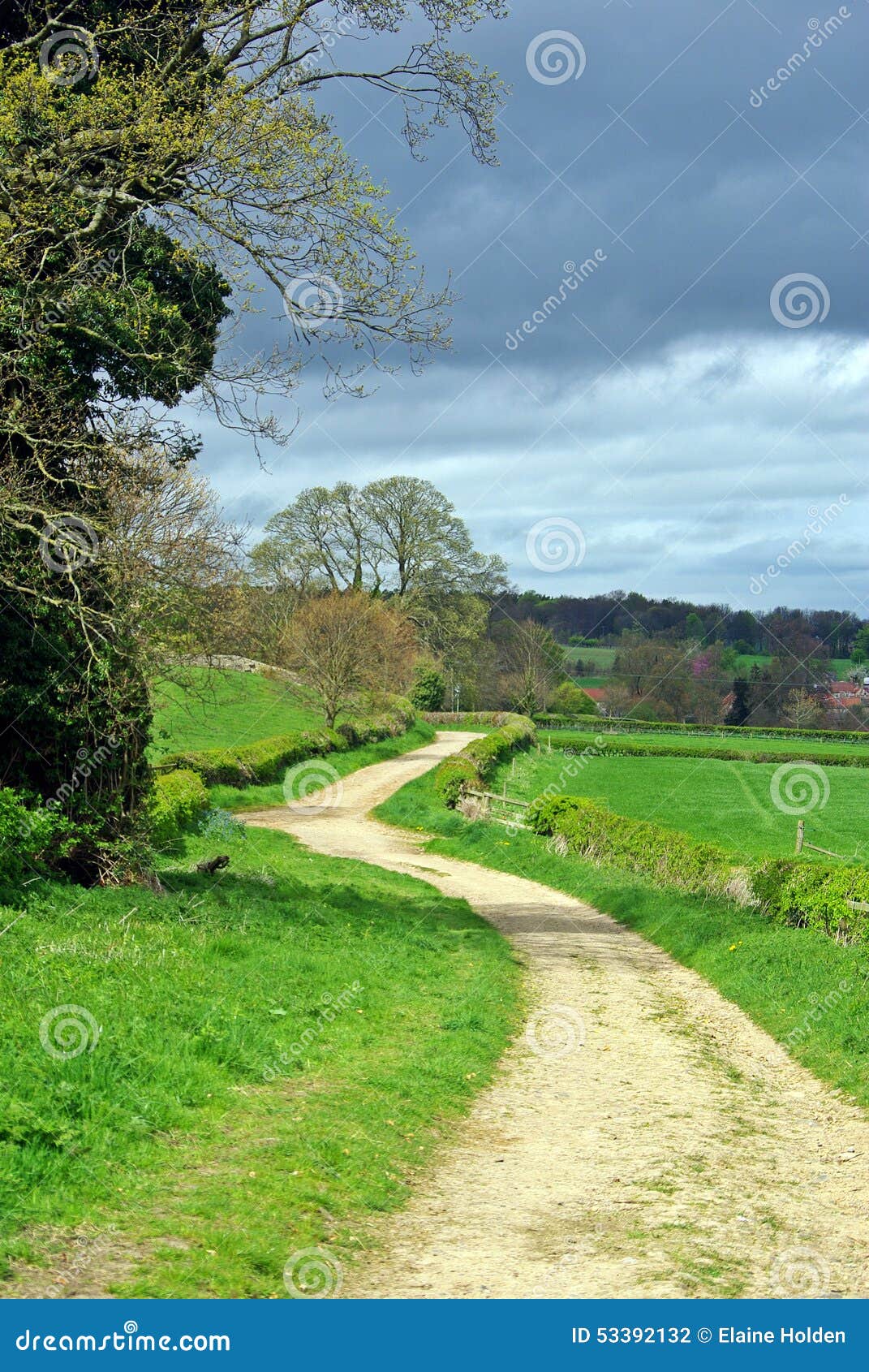 Path with a view stock photo. Image of walk, rural, path - 53392132