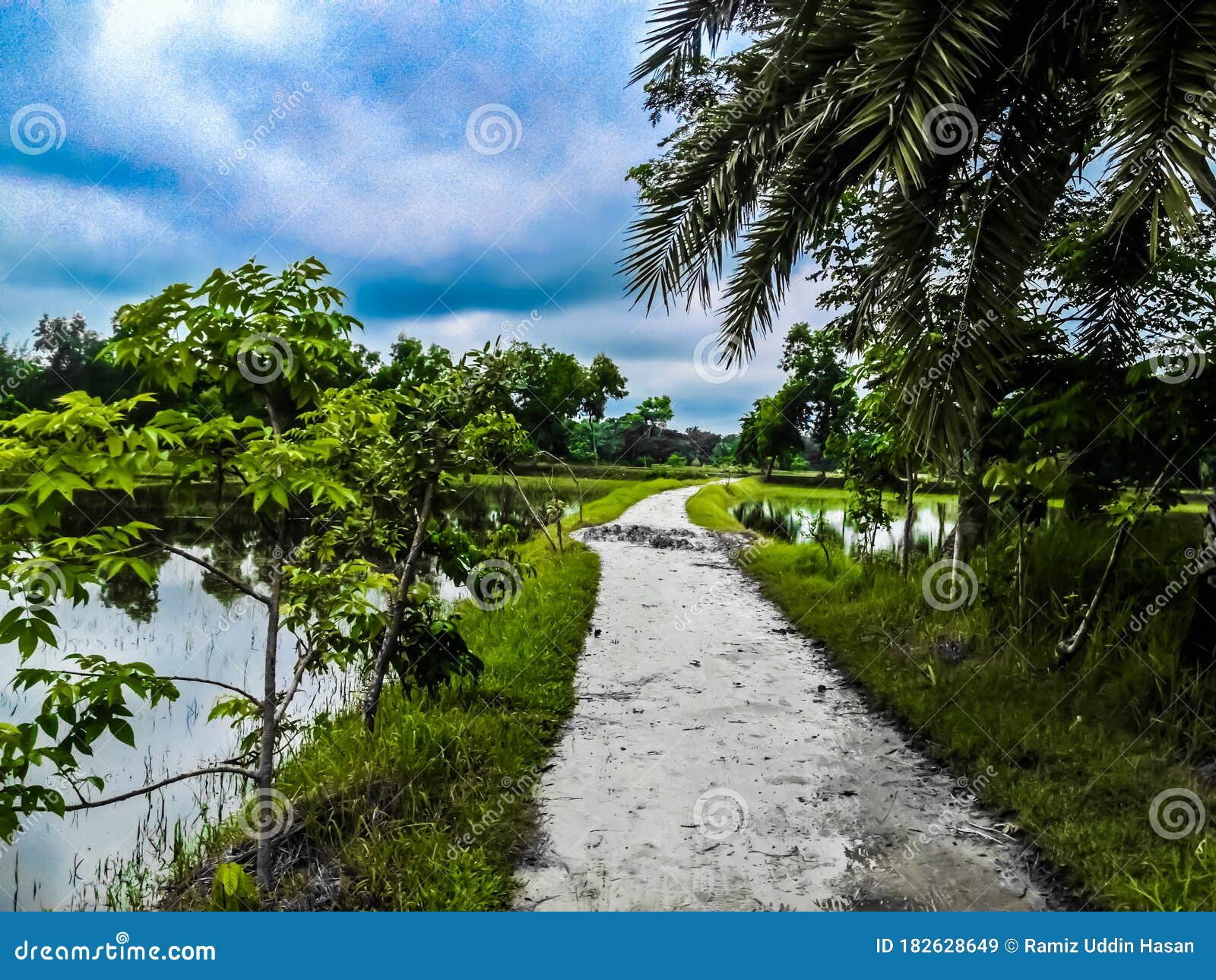 Path in the village stock image. Image of vegetation - 182628649