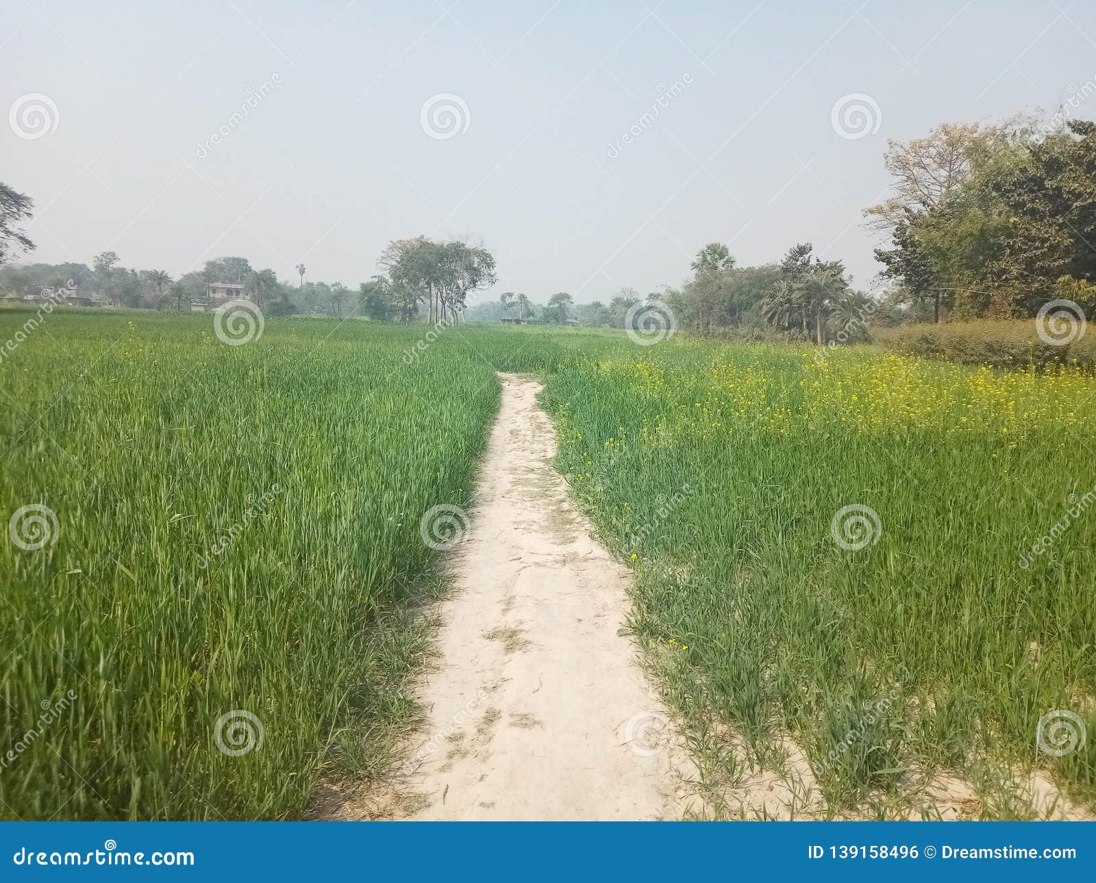 Path of Village Andwhich Way is Located at Your Destination Stock Photo ...