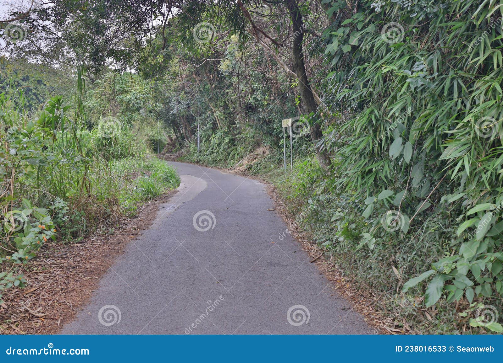Path in Village of Countryside, Hong Kong 17 Dec 2021 Stock Image ...
