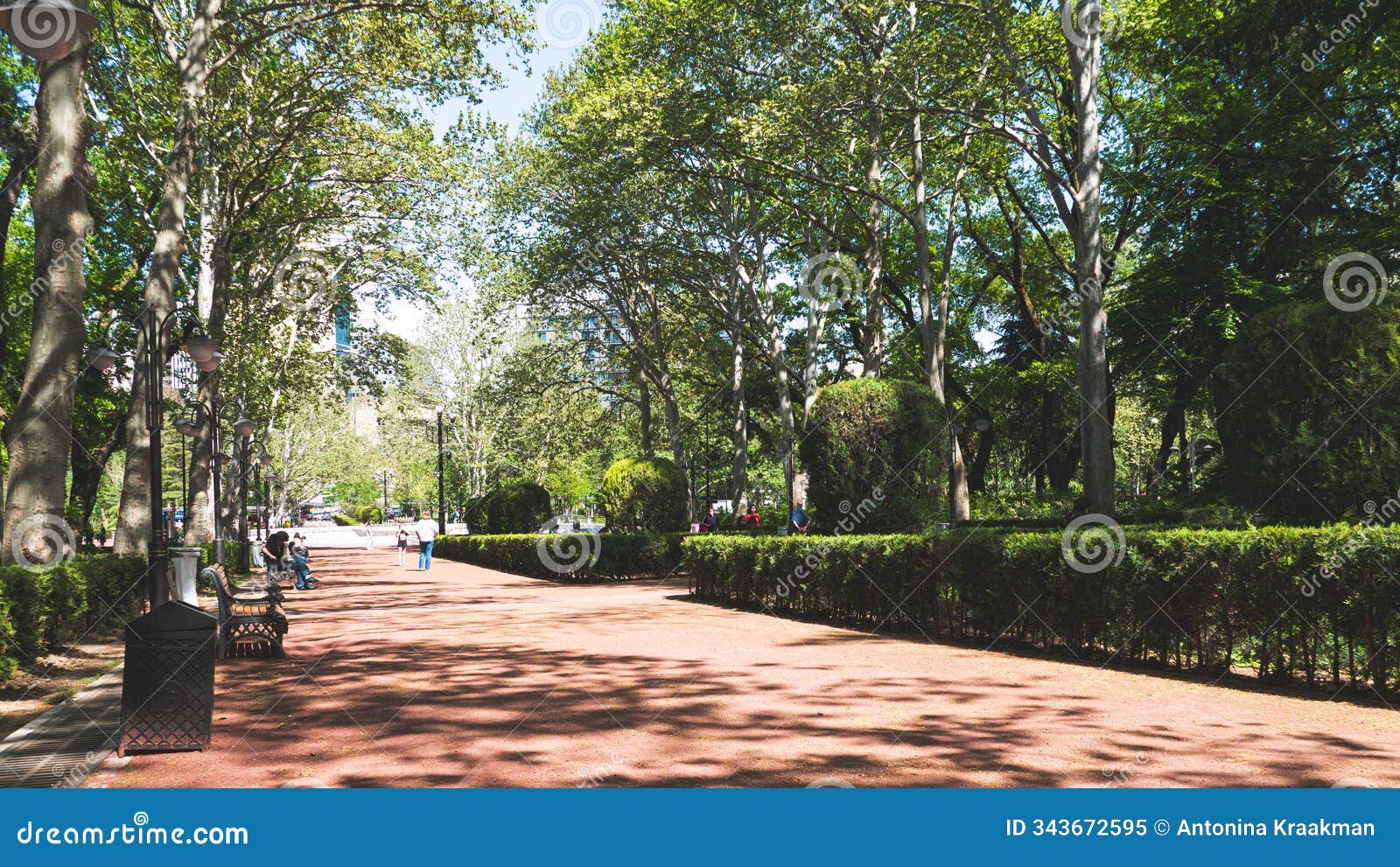 A Path Walking Leading through Park Forest Green Trees Plants Around ...