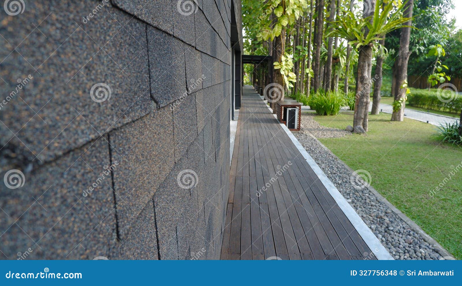 Teak Trees Stock Photo | CartoonDealer.com #154603548 Teak Trees Stock Photo | CartoonDealer.com #154603548