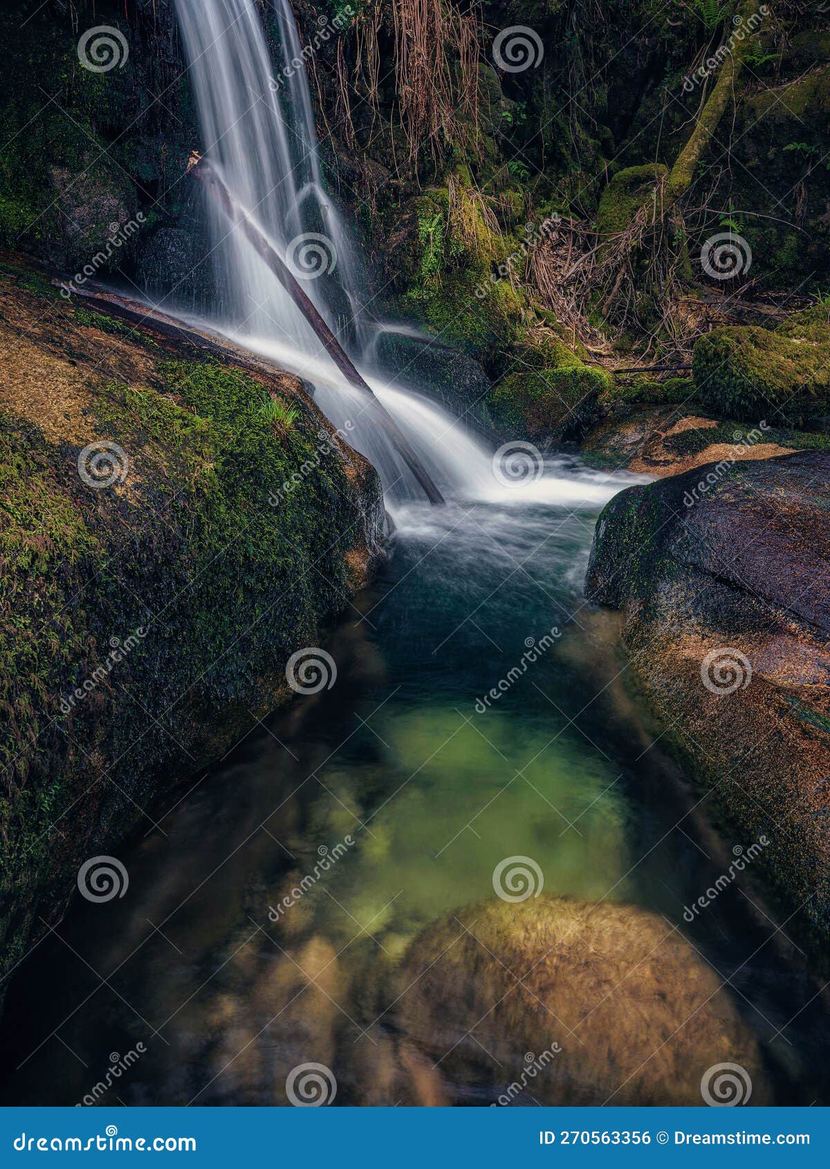 The PATH of the WATER from the WATERFALL Stock Photo - Image of hike ...