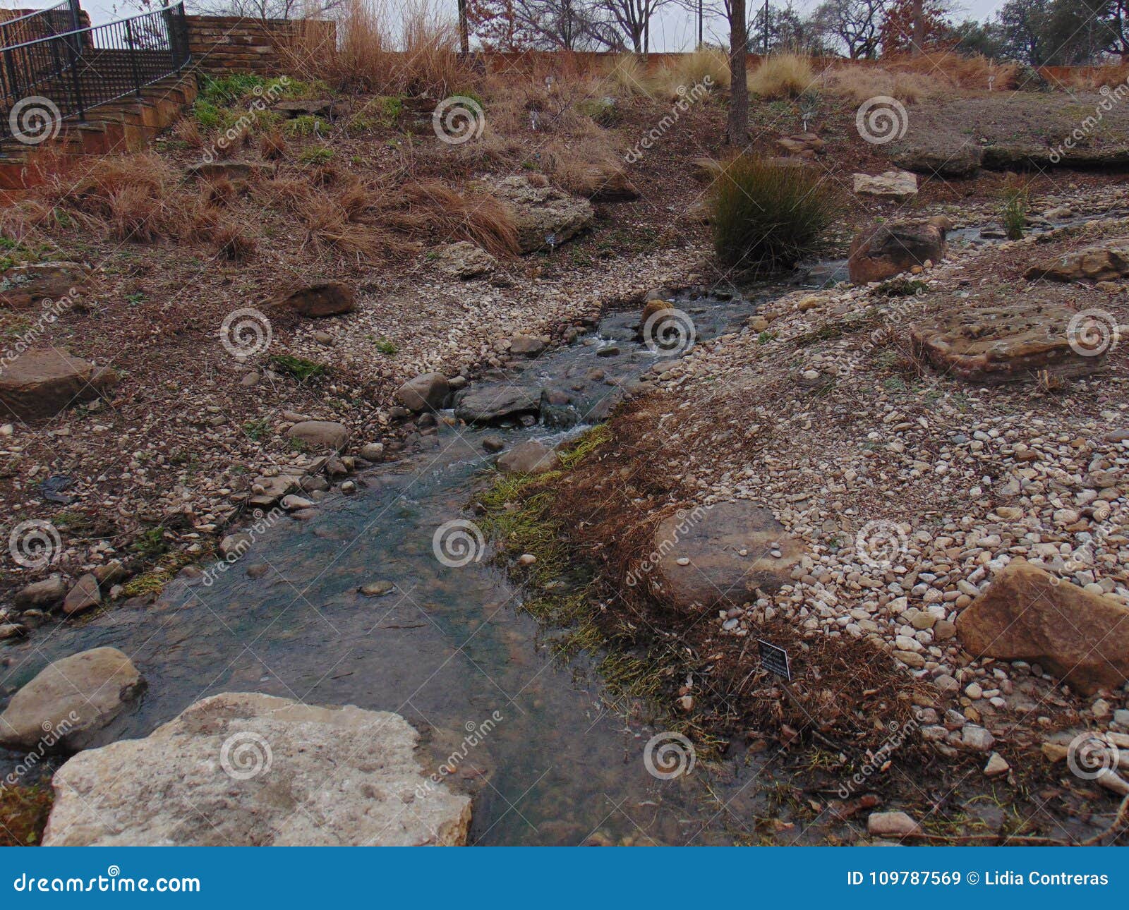 A path of water stock image. Image of covering, golden - 109787569