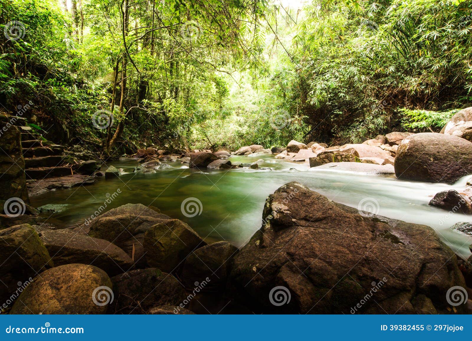 Path of Water from Uphill Down To River Stock Image - Image of forest ...