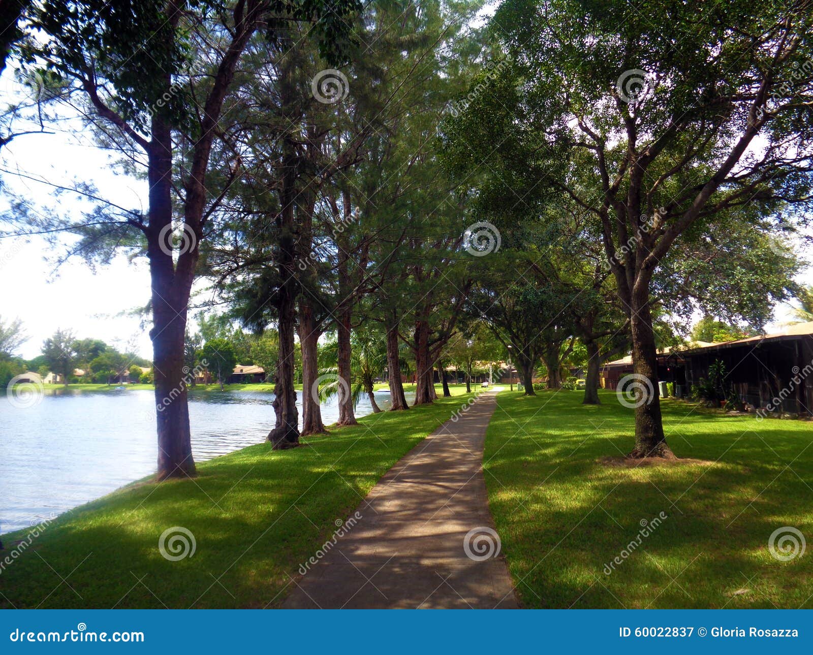 Path way around the lake stock image. Image of lake, flora - 60022837